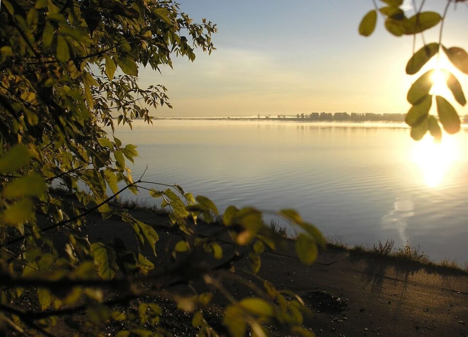 broad 反対語 対義語 意味を豊富な例文で習得しよう！ | えいたんごン