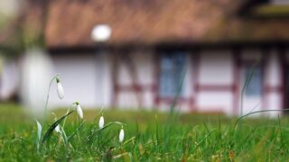 lie ing形 現在・過去進行形 例文でマスターしよう！ | えいたんごン