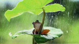 lie ing形 現在・過去進行形 例文でマスターしよう！ | えいたんごン