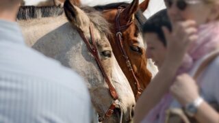 consider that 意味 例文 使い方をマスターしよう！ | えいたんごン