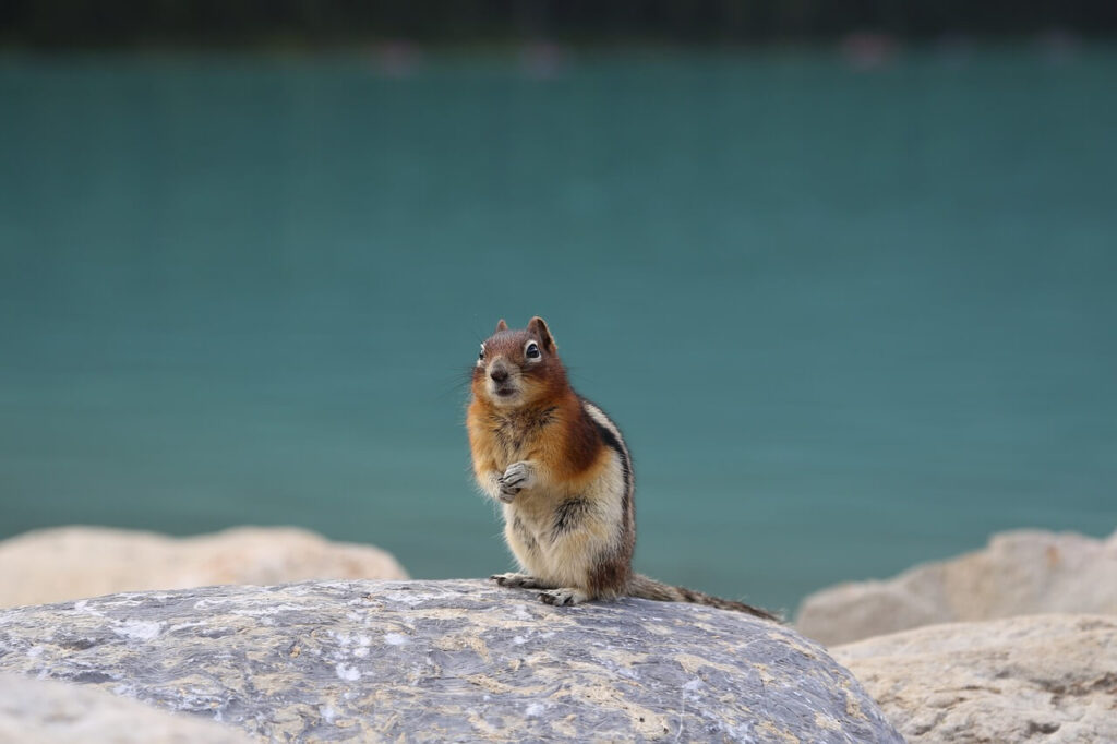 consider that 意味 例文 使い方をマスターしよう！ | えいたんごン