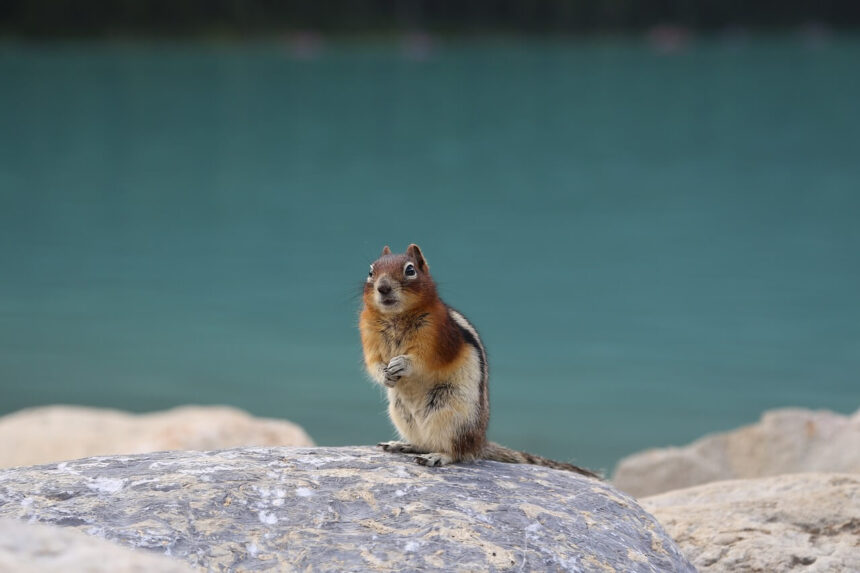 consider that 意味 例文 使い方をマスターしよう！ | えいたんごン