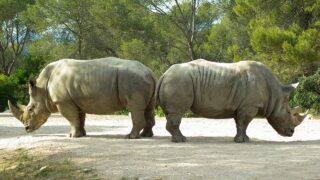 assume that 意味 例文 使い方を学習しよう！ | えいたんごン