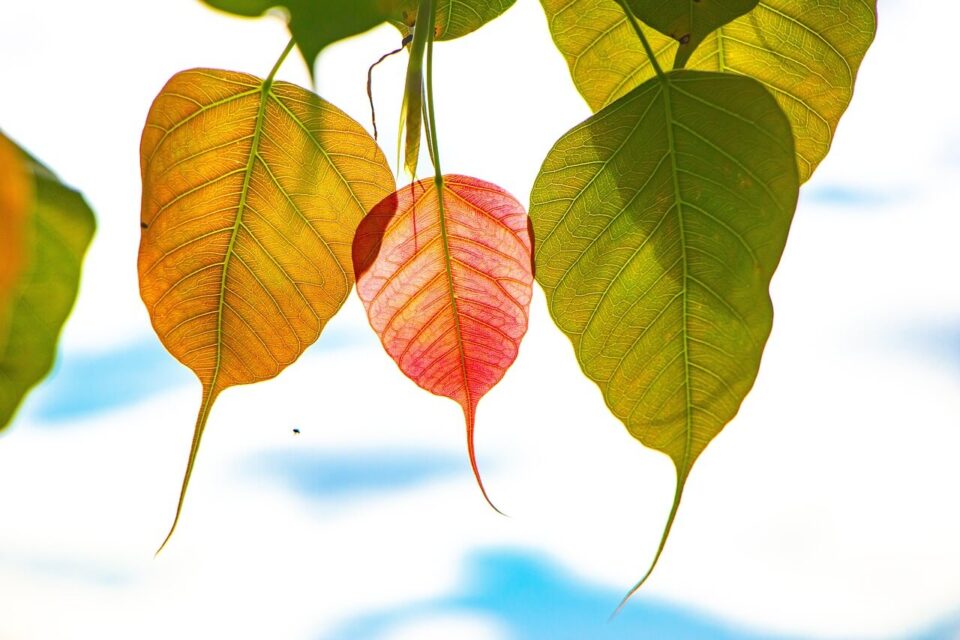 realize that 意味 例文 使い方をマスターしよう！ | えいたんごン