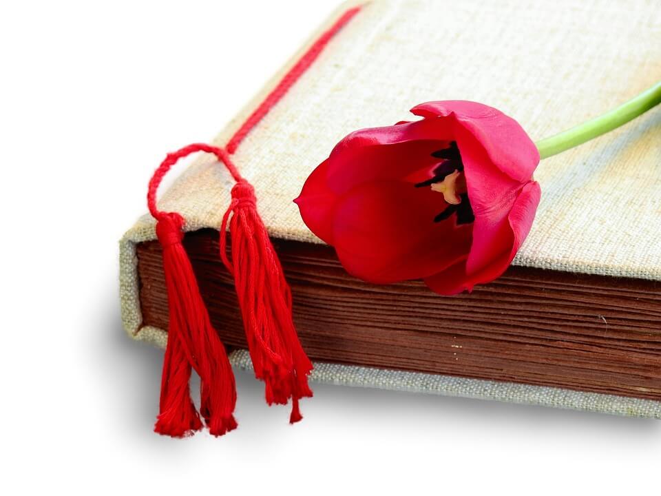 recall that 意味 例文 使い方を学びましょう！ | えいたんごン