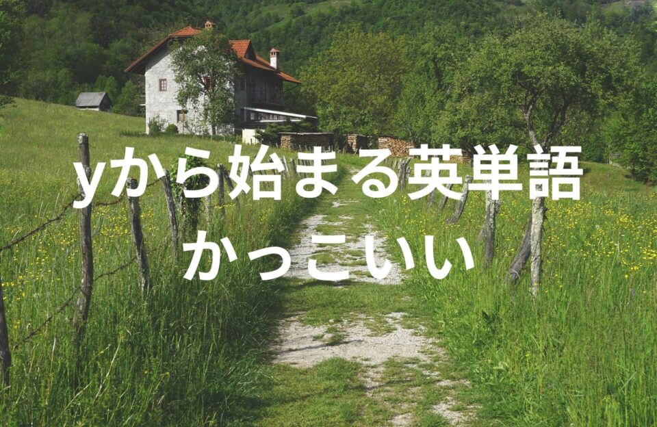 yから始まる英単語 かっこいいもの124選！ | えいたんごン